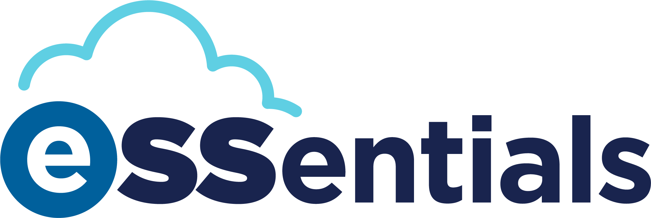 Salesforce eSSentials Packages - eimagine